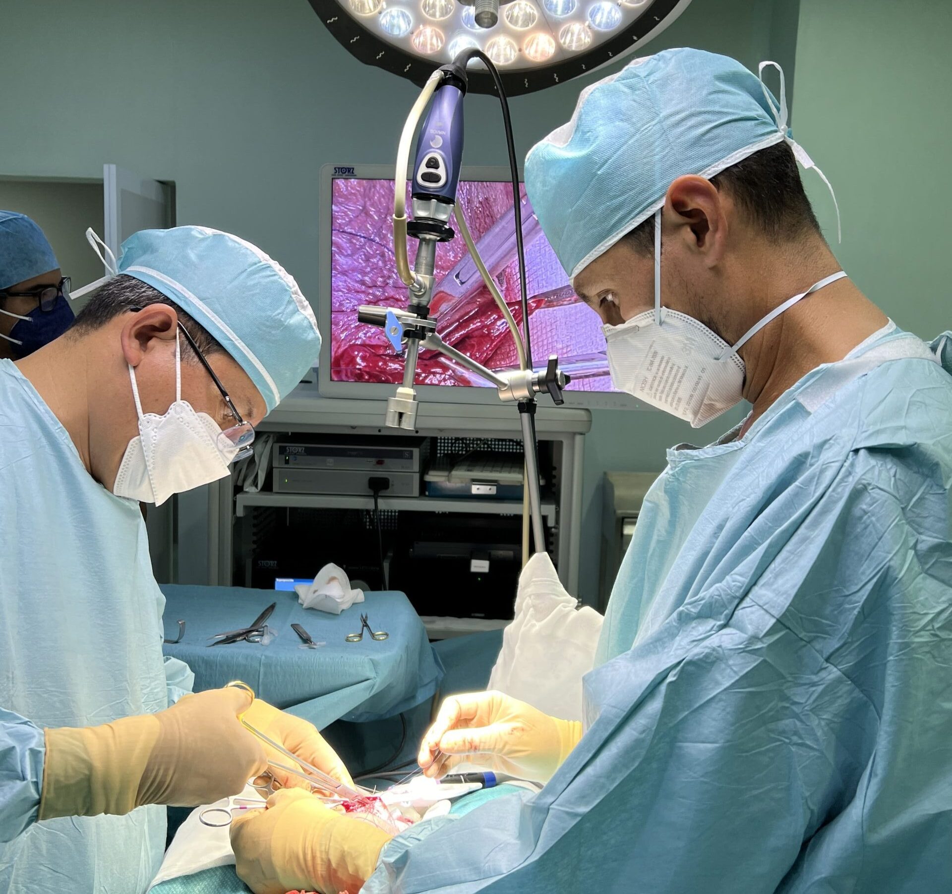 Vitom Storz – LaserAid